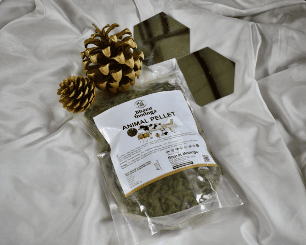 Moringa Animal Pellet (1KG) | Bharat Moringa